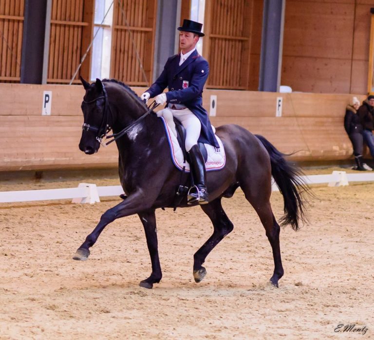 07.02.2017 Resultate Dressur Turnier Leudelange - HIPPOline