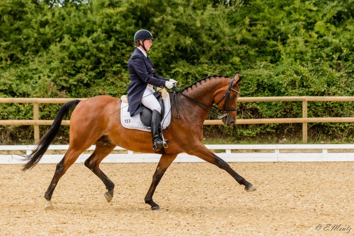 15.07.-16.07.2017 Dressurturnier bei unserm HIPPOline-Partner Reitstall ...